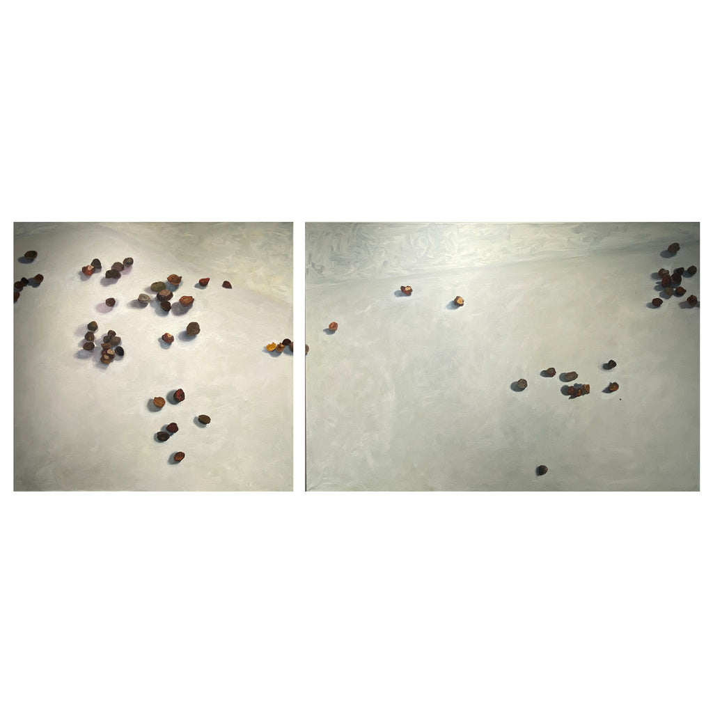 Still Life Series: Seeds – ART PROJECTS GALLERY